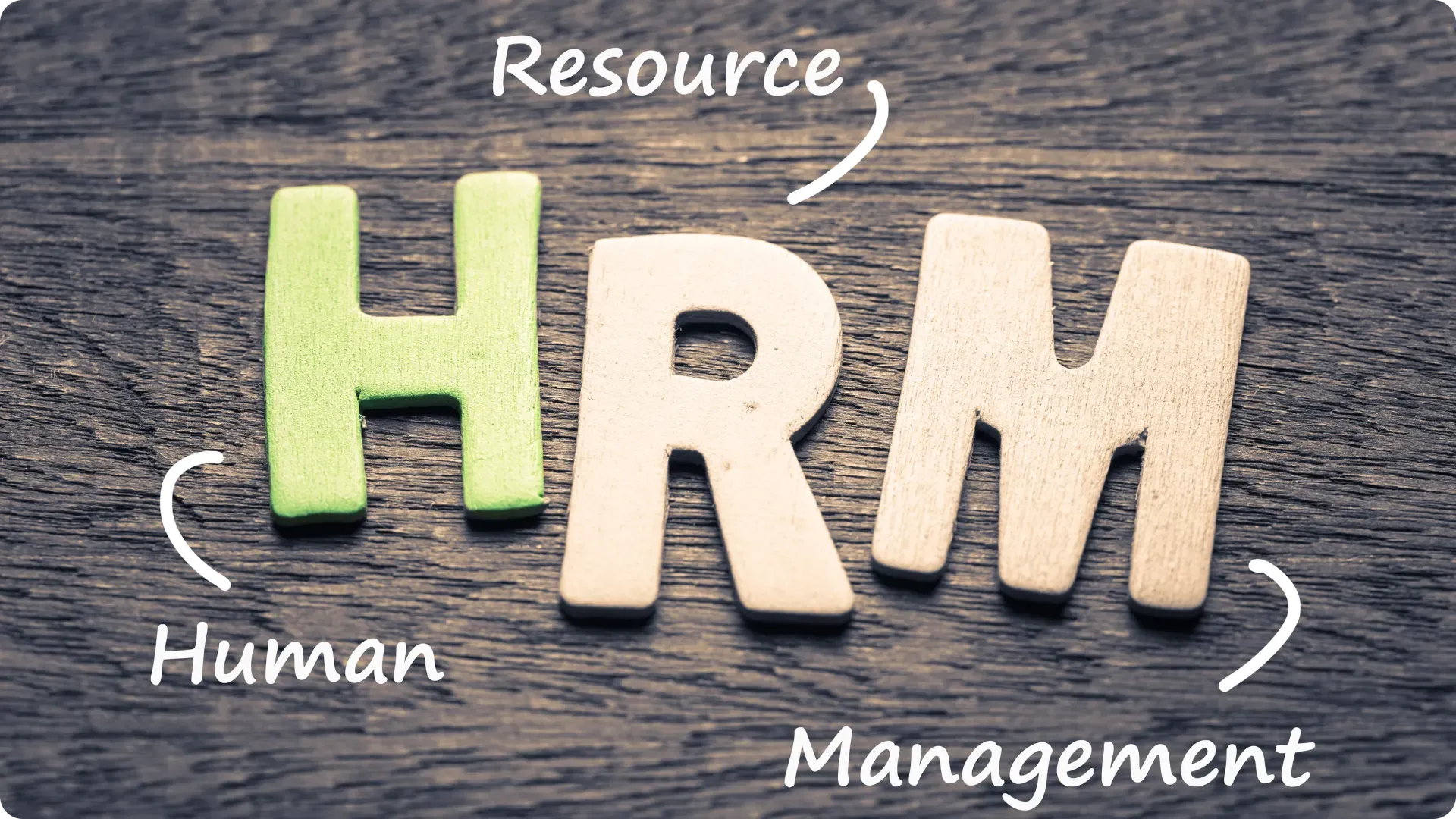 HRM là gì? Hiểu rõ vai trò của HRM trong doanh nghiệp